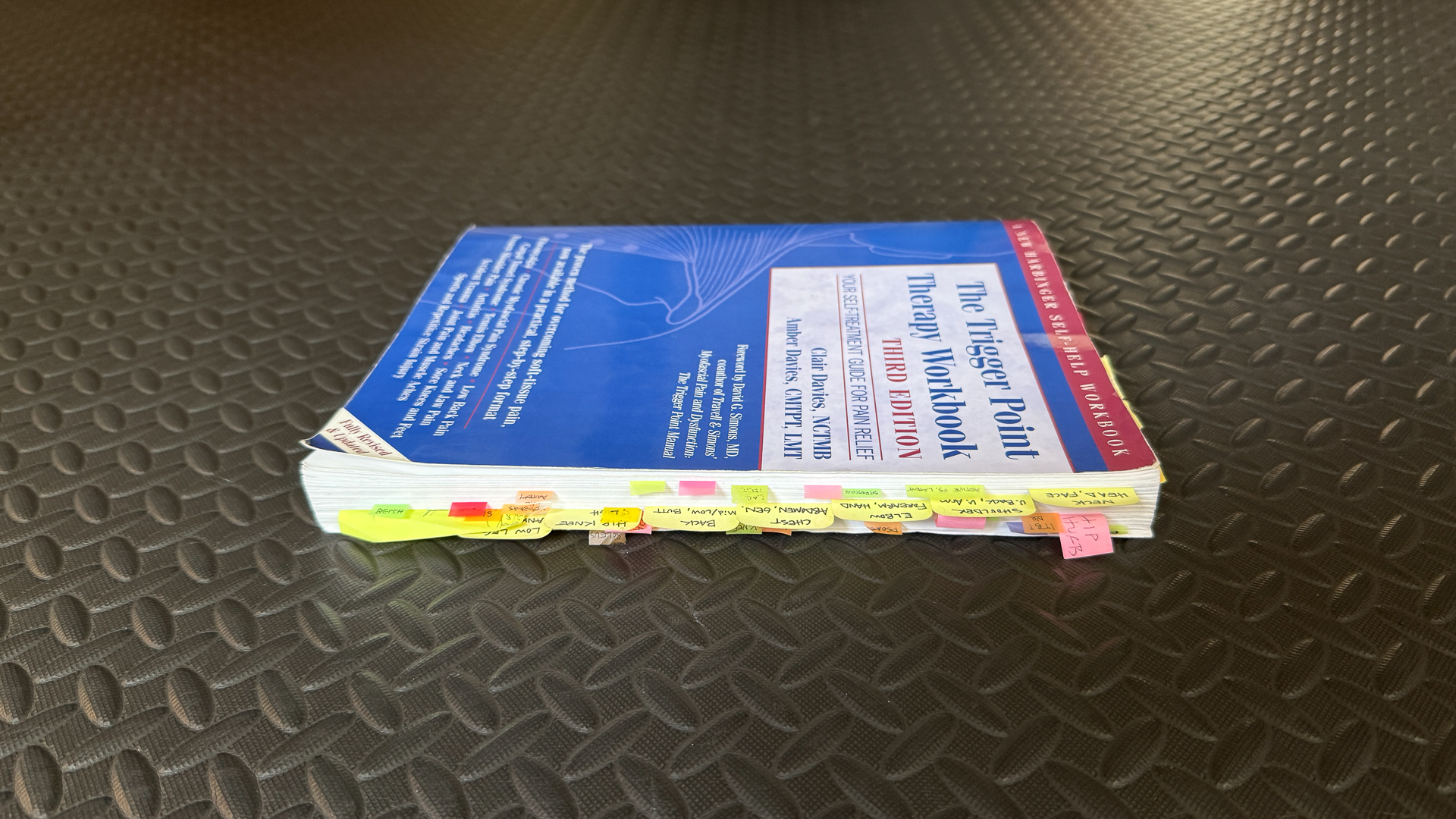 Book Review: Trigger Point Therapy Workbook by Claire Davies – Sessions With Melissa